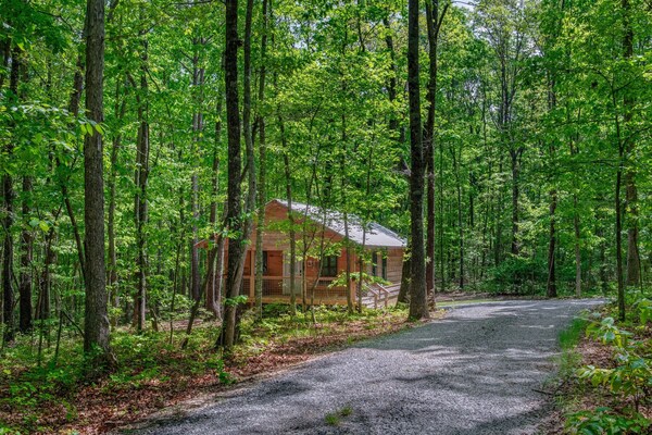 Turkey Trot-cozy Cabin W/hot Tub & Fire Pit - Mentone, AL
