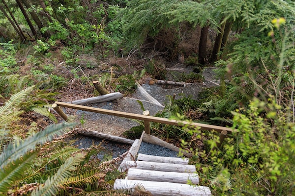 Jordan River Oceanfront Surf Shack With Free Surfboards/beach Trail To The Waves - Vancouver Island
