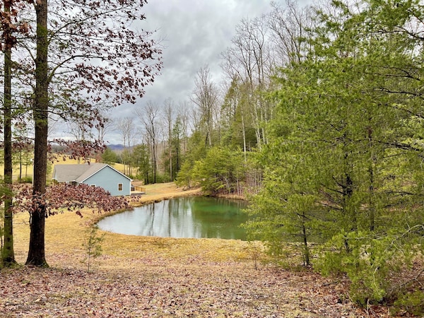Cozy 3 Br Cabin With Pond On 3 Acres / New River Gorge / Summersville Lake - Summersville, WV