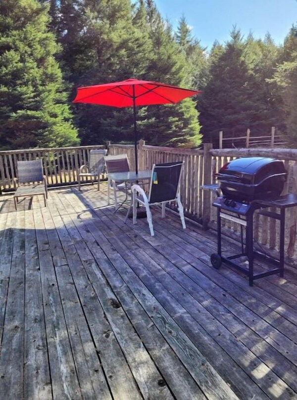 Private Cabin In The Woods On An Animal Sanctuary - Norwood