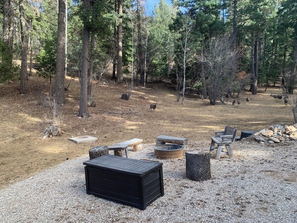 Spacious Cabinforest Vibes, Golf Nearby, Atv Trailer Parking, Dogs Ok - Cloudcroft, NM