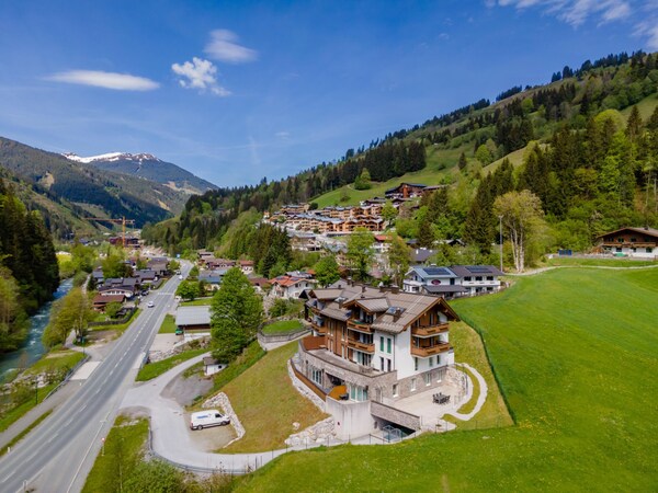 Ski-in, Ski-out Luxurious Apartment - Viehhofen