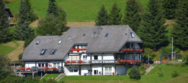 Ferienwohnung 'Erle' Mit Bergblick, Gemeinschaftsterrasse Und Wi-fi - Todtnauberg