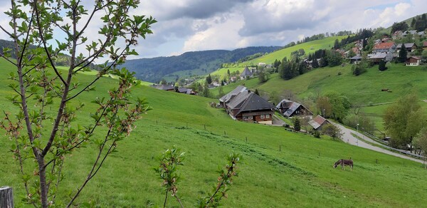 Appartement 'Buche' Avec Vue Sur Les Montagnes, Terrasse Partagée Et Wi-fi - Todtnau