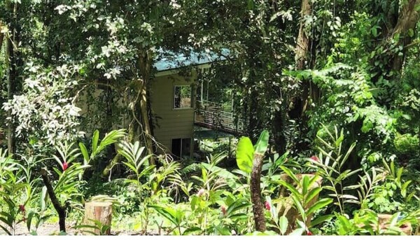 Dream Getaway For Nature Lovers - Top Floor - Punta Uva