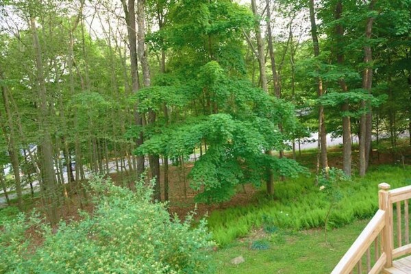 Last Glass - Worlds End State Park, Forksville