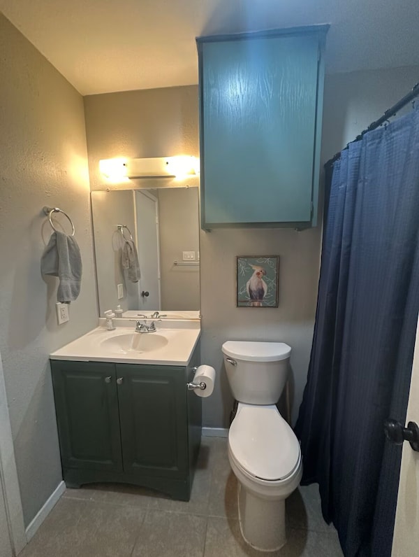 Charming 2-bedroom Apartment In Lovely Arlington With Wifi, Ac - Globe Life Field - Arlington