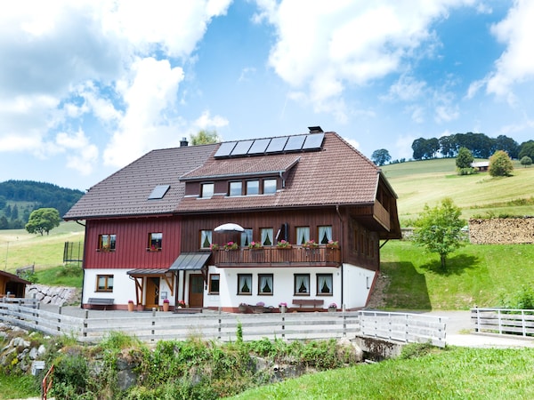 Appartement "Esche" Avec Vue Sur Les Montagnes, Terrasse Partagée Et Wi-fi - Todtnau