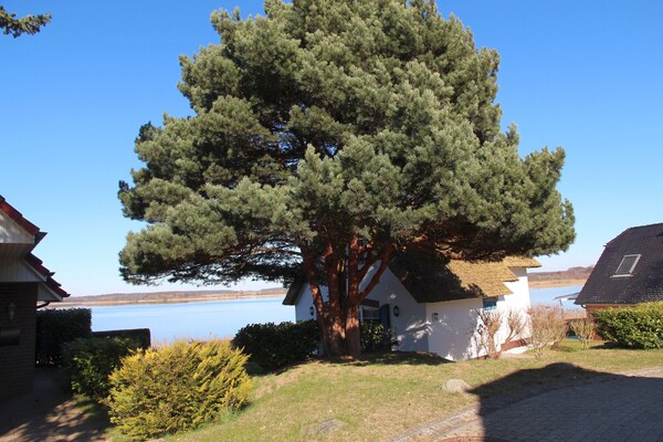Relax In The Idyllic Vacation Home Seerose Am See! - Sternberg