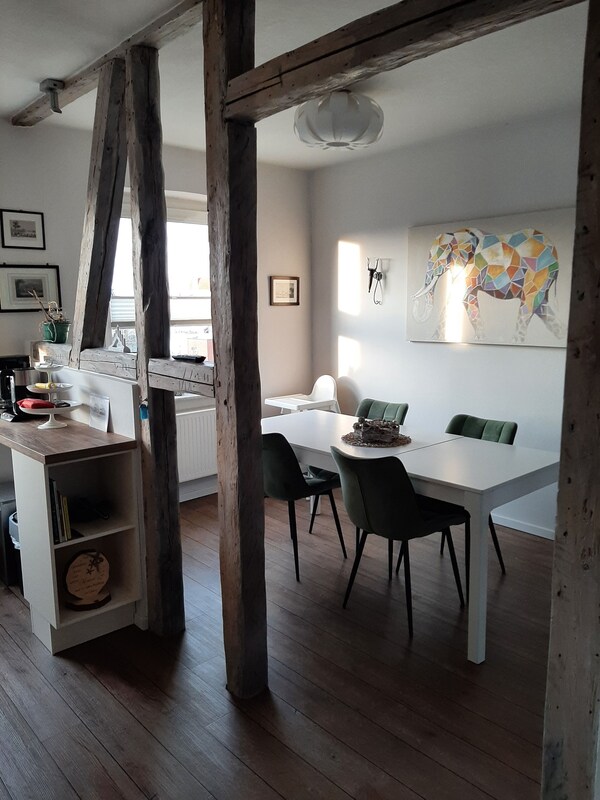 City-apartment 2 - 120m², Dart+airhockey+beamer - Schwerin
