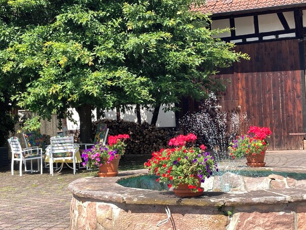Ferienwohnung Chalet Niklashof Fulda - Fulda