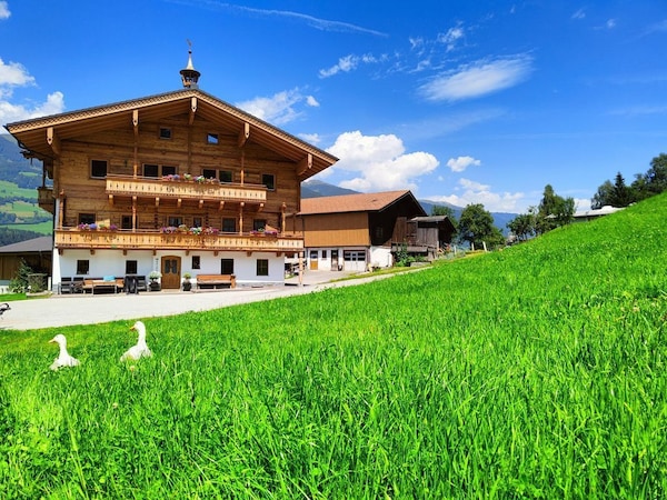 Wildkirsche - Bio Bauernhof Obermühle - Mittersill