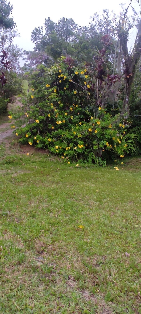 Casa De Campo Em Imaruí, Sc. - Laguna