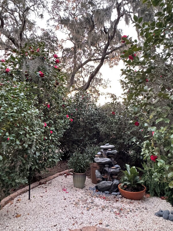Artist Hideaway ~ Unique And Artistically Designed Studio  On 1 Acre - 薩凡納