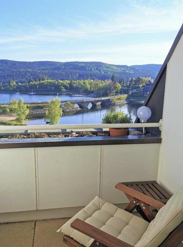 Apartment 'Blackforest-schluchsee' With Lake View, Shared Garden And Wi-fi - Black Forest