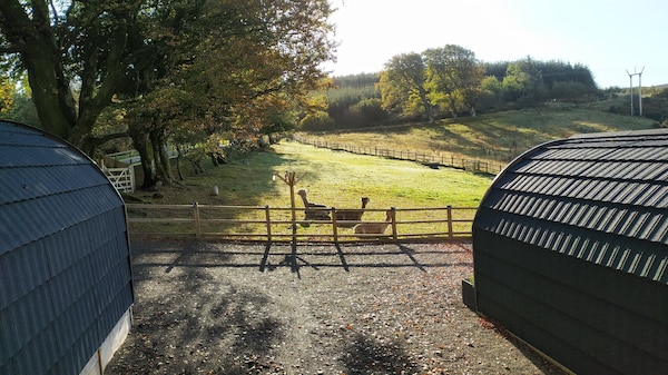 Suri Luxury Eco Glamping Pod @ Little Peru Alpaca Farm - Dumfries and Galloway