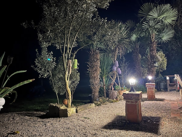 Maison De Vacances Dans Le Gers ( Pavie 32 ) - Auch