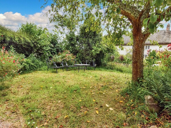 2 Bedroom Accommodation In Jacobstowe, Near Okehampton - Okehampton