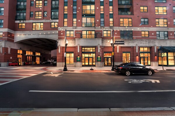 Luxurious 3br/2ba Modern Haven Downtown Stamford - Stamford, CT