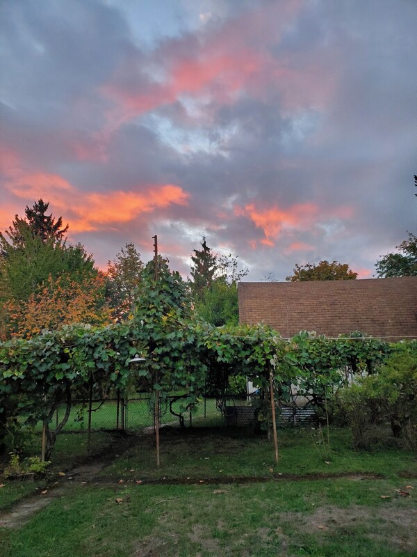 Backyard Beauty & Bliss In Prime Location - Vancouver, WA