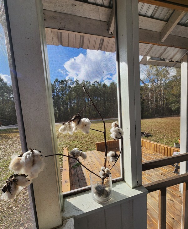 Charming Country Duplex House Just 18mi From Vibrant Downtown Savannah! - Rincon, GA