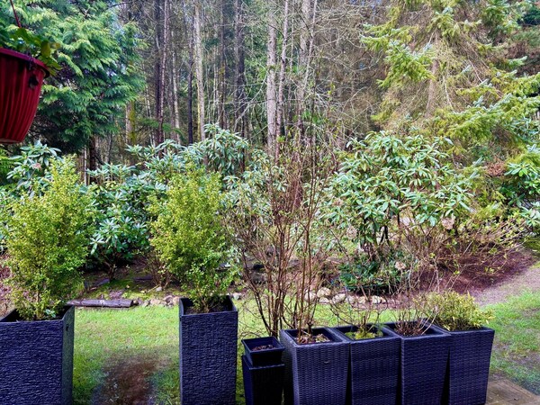 Nature Retreat: Beach And Ski. Luxury Large Master Bedroom W/ Private En-suite. - Mount Seymour