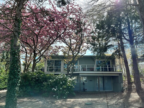 New Seabury Cape Escape! 3 Br Mid Century House 5-7 Minute Walk To Poppy Beach - Mashpee Pond, MA