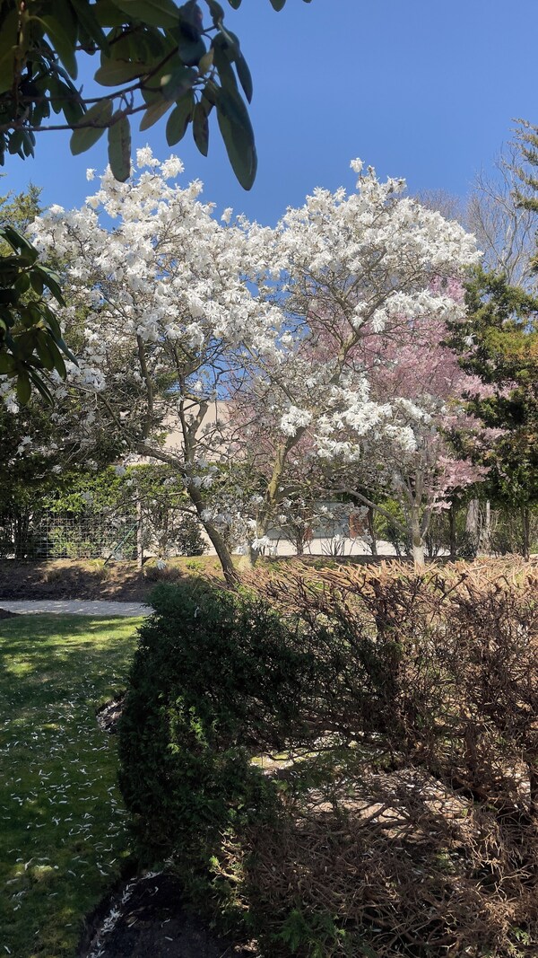 Spacious 5-bedroom House With Beautiful Gardens Close To Bay Beaches. - East Hampton, NY