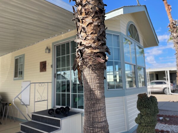Voyager Guest House In An Adult Community - ツーソン, AZ