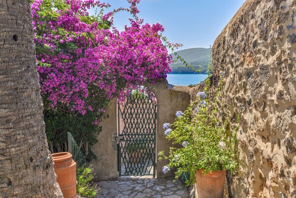 Villa Le Tre Palme 8 Beds In The Center Of Porto Azzurro - Porto Azzurro