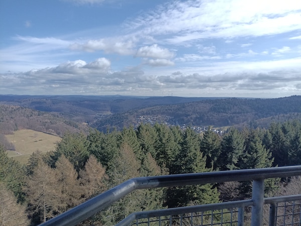 Vacation Apartment Odwenwaldwellness - Heidelberg