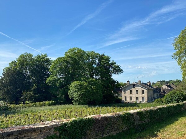 Villa De Charme Et Ses Vignes De Corton - Savigny-lès-Beaune