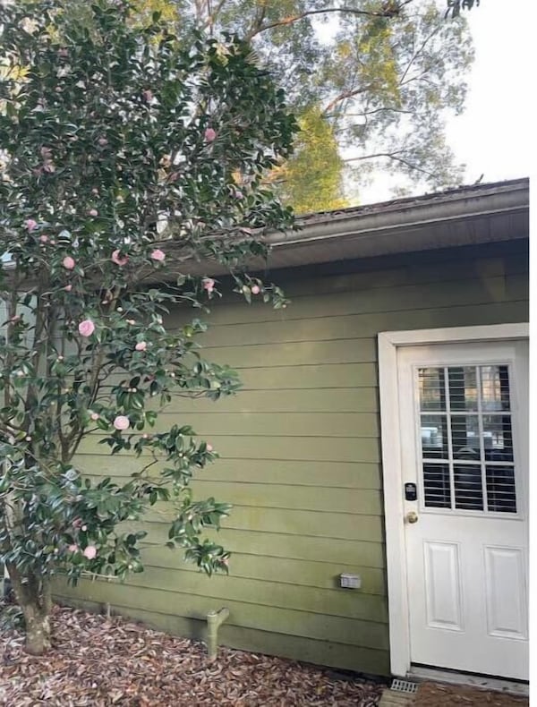 Private Guest Housebeautiful And Conveniently Located With Grand Piano Near I10 - Tallahassee, FL