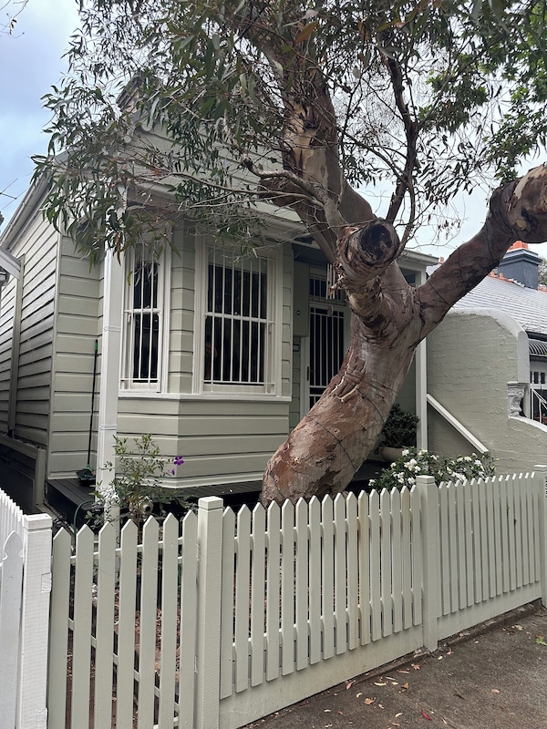 Sydney Urban Oasis\nfamily Friendly Close To City & Harbour - Camperdown
