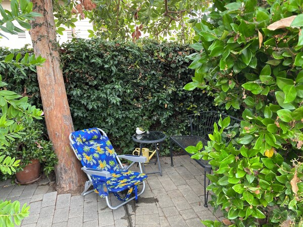 Downtown Luxury Furnished 1/1 With New Washer/dryer, 1 Car Garage, 94 Walk Score - Santa Barbara, CA