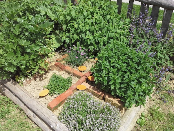 Apartmaji Rajšp - Eslovenia