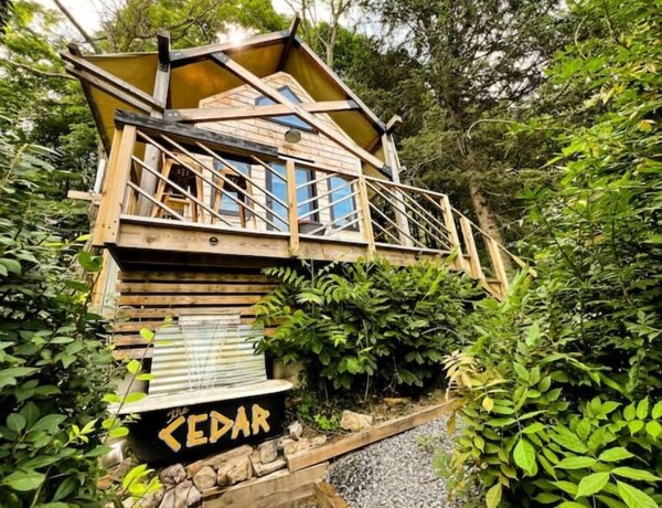+The Cedar+ @ Camp Potomac Peak - Berkeley Springs, WV