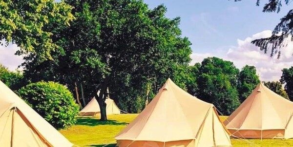 Spacious Bell Tent Nestled In Our Orchard Field At Edinburgh Festival Glamping! - Edinburgh