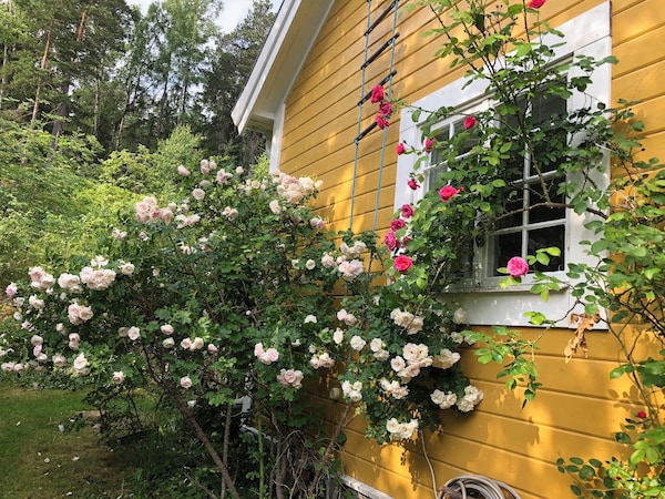 Writer's Cottage In The Inner Archipelago - Stockholm