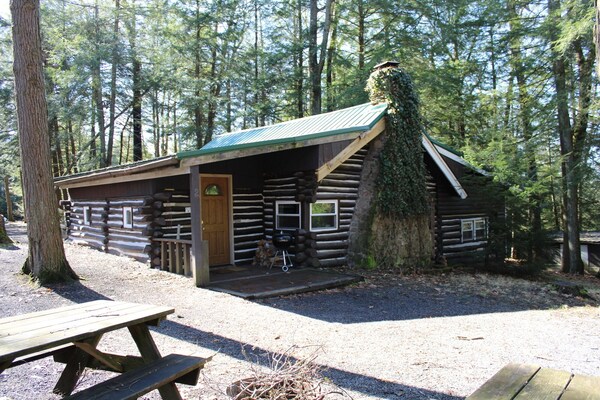 Quaint Cabin For Large Family, Dog Friendly, 2 Minutes To River - Lake Erie, PA