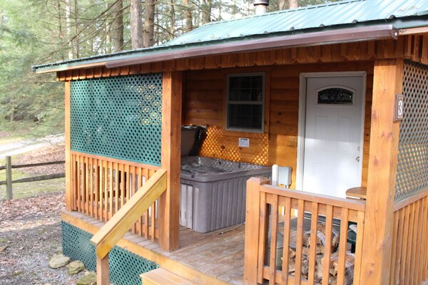 Sweetheart Cabin With Hot Tub, 2 Minutes To River - Lake Erie, PA