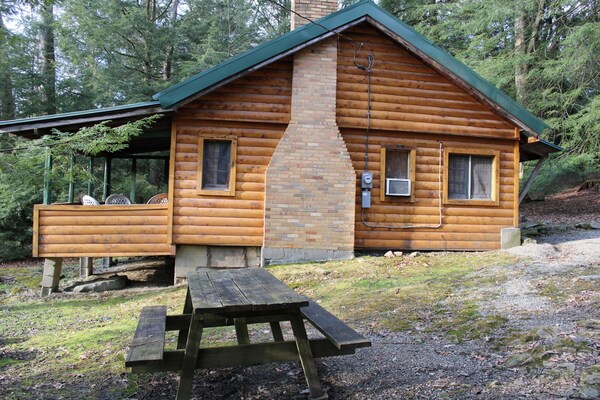 Cozy Cabin With Fireplace, Dog Friendly, 2 Minutes To River - Lake Erie, PA