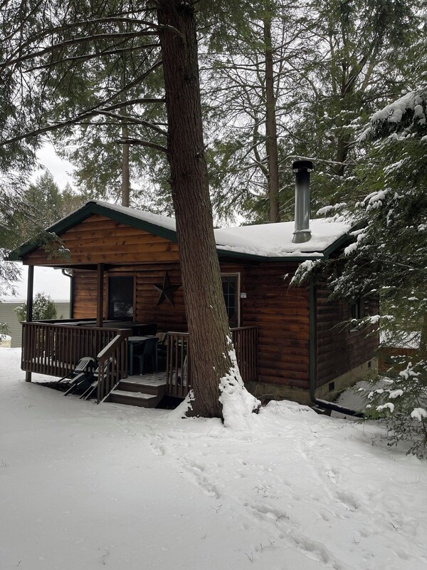 Peaceful Cabin With Hot Tub, Dog Friendly, 2 Minutes To River - Lake Erie, PA