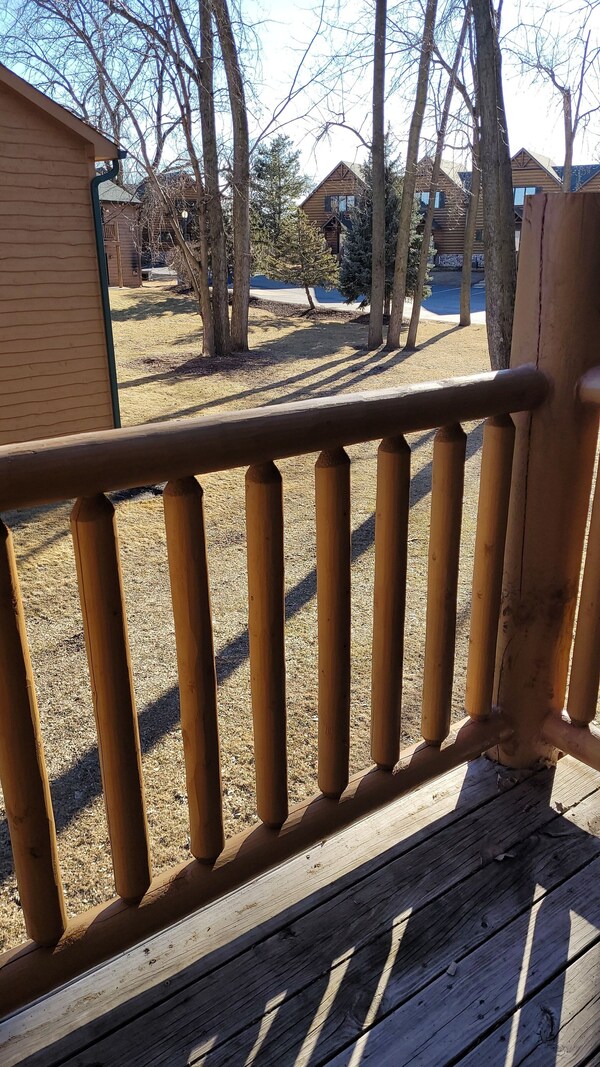 Relaxing Villa At The Grand Bear Resort Close To Starved Rock! - Matthiessen State Park, Oglesby