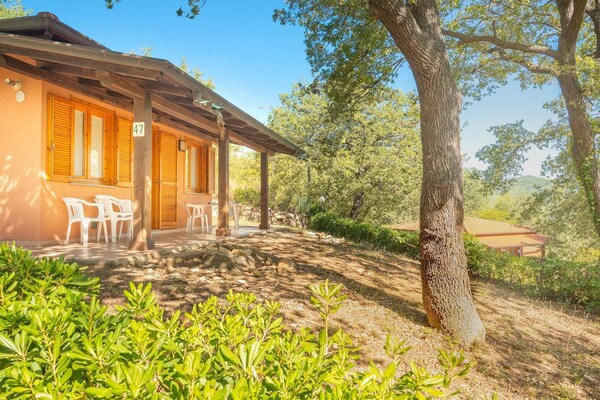 Appartements Mit Veranda, Andora - Alassio