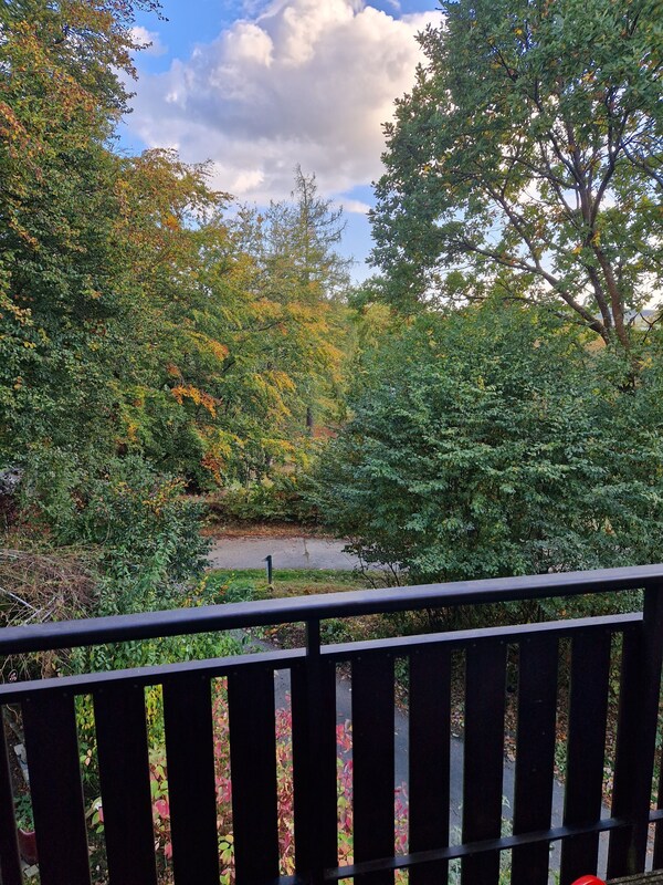 Schöne Ferienwohnung Am Kellerwald Mit Balkon Und Garten - Ferienhaus Buml - Frankenau