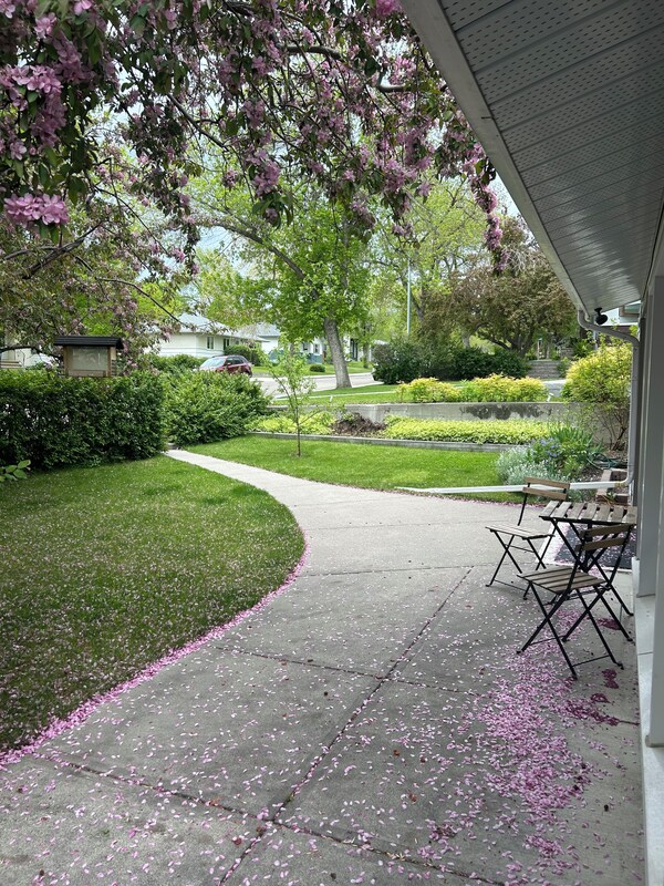 Cozy Home In A Quiet Neighbourhood Among Old Trees. 10 Min Drive To City Centre. - Calgary