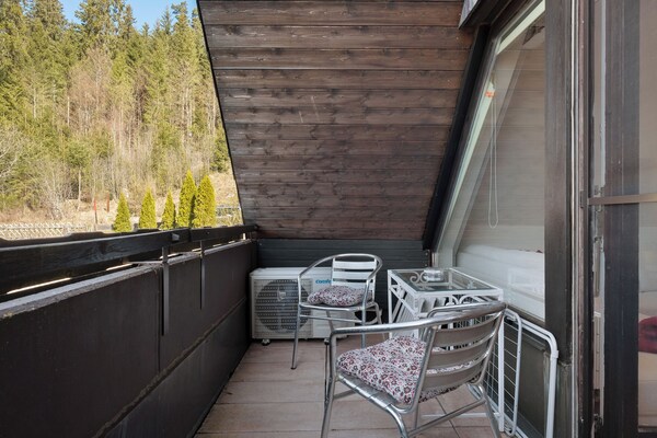 Apartment 'Hirschsprung Saig' With Mountain View, Wi-fi And Air Conditioning - Titisee-Neustadt