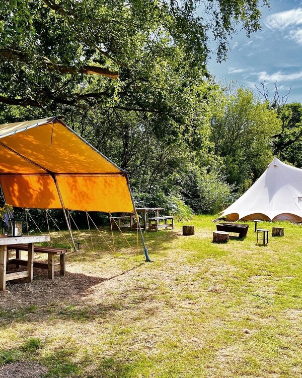 Little Bridge Camp.\nsecluded Camping In 13 Acres Of Magical Meadow And Woodland. - 데번