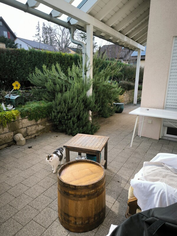 Geräumige Ferienwohnung Weinbergblick Mit Terrasse - Sachsenheim